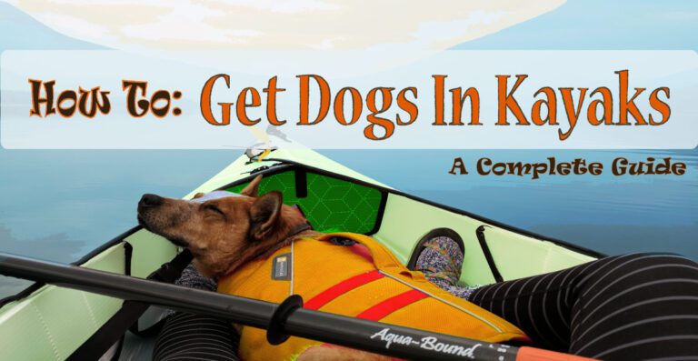 Top 9 Kayaking Rules And Regulations | PyeNye