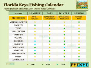 5 Secrets Of Kayak Fishing In The Florida Keys Pyenye