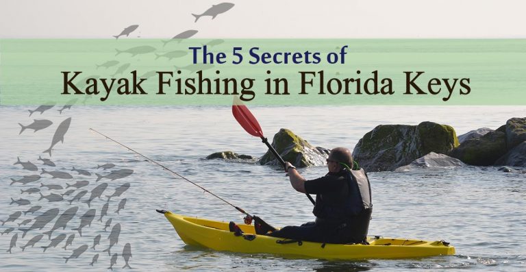 The 31 Kayaking Facts: You Probably Missed | PyeNye