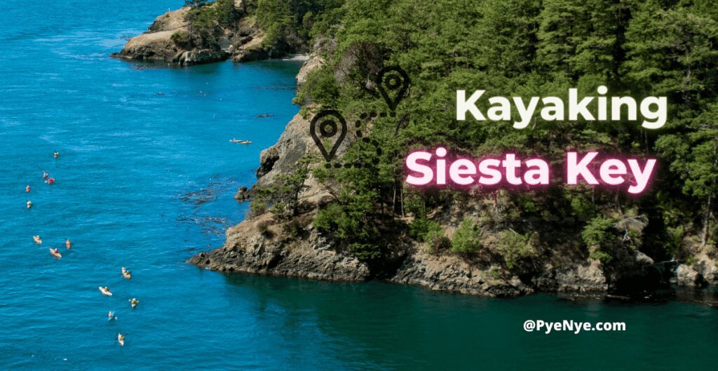 Siesta Key Kayaking Is Forever Amazing | PyeNye